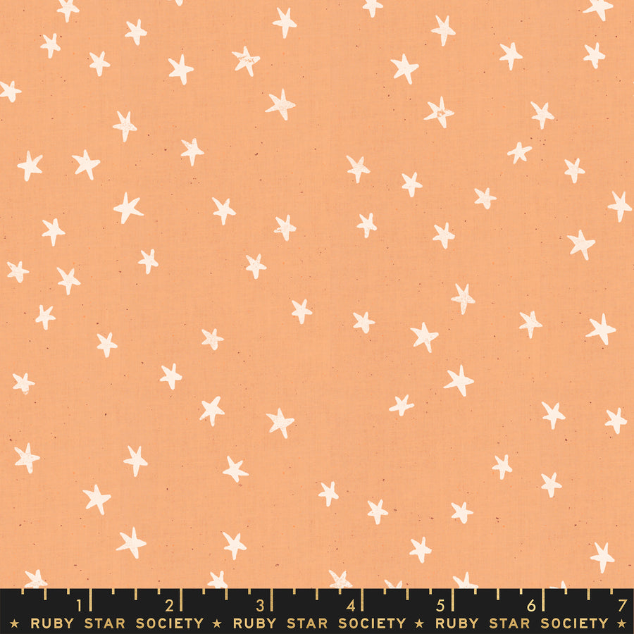 Ruby Star Society fabric at Bloomerie Fabrics